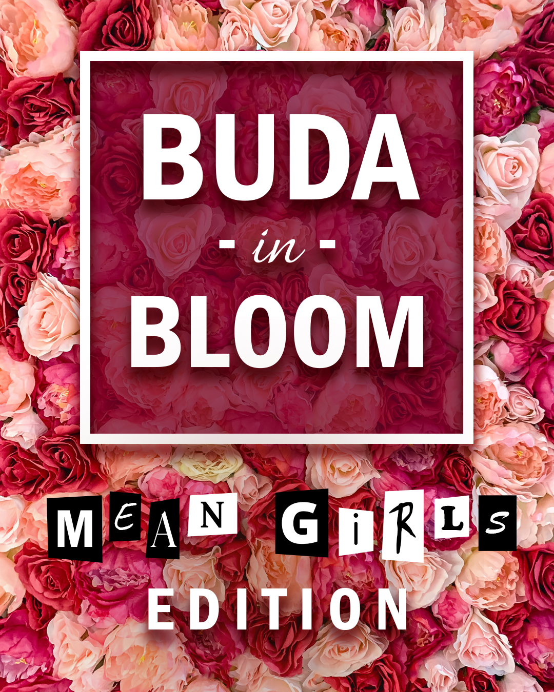 Buda in Bloom - Mean Girls Edition - Austin Monthly Magazine