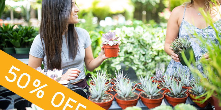 Green Friday Sale (All Weekend Long) - Austin Monthly Magazine