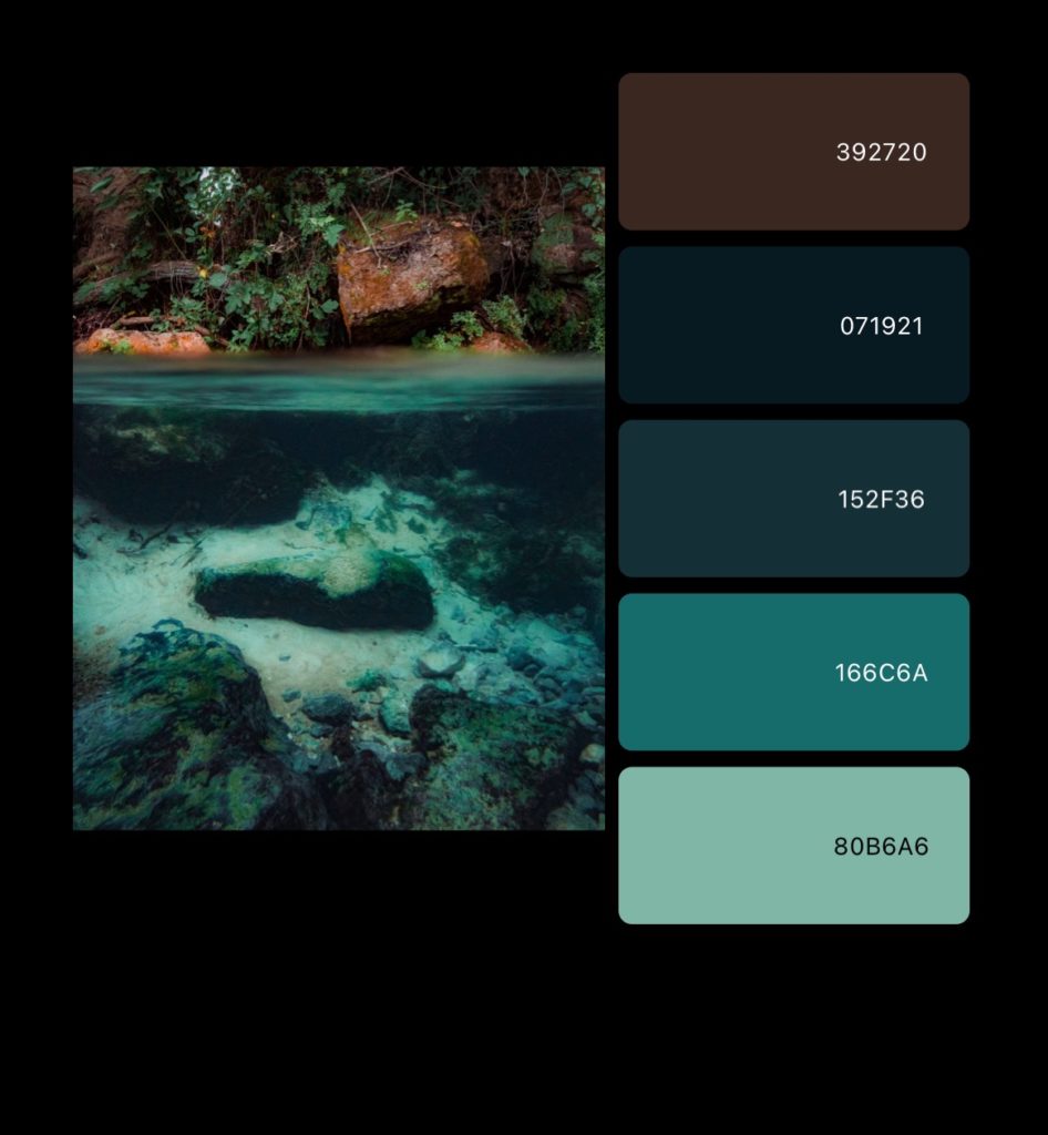 The Color Palette of Austin and the Texas Hill Country - Austin Monthly ...