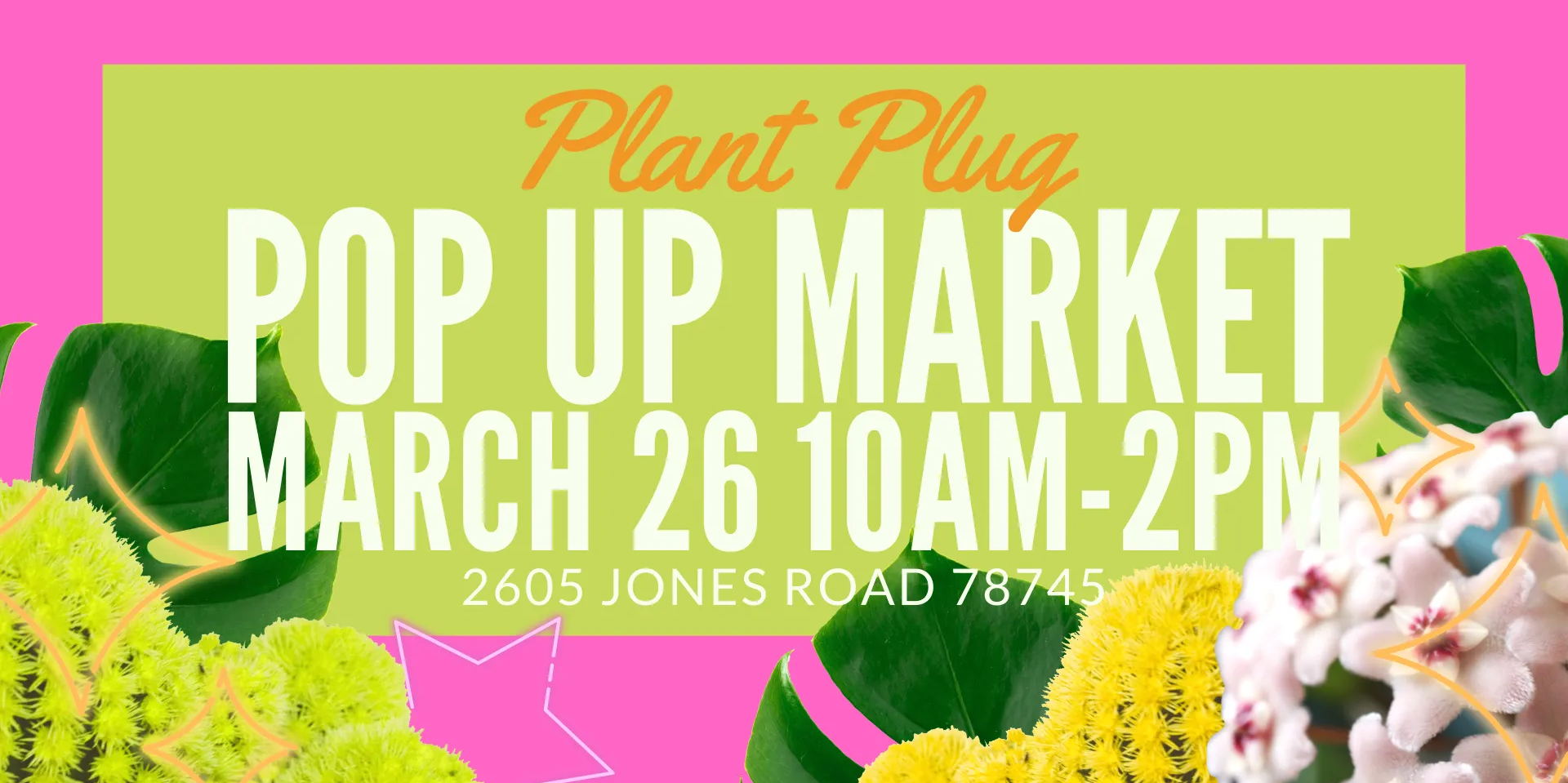 Plant Plug Pop Up - Austin Monthly Magazine