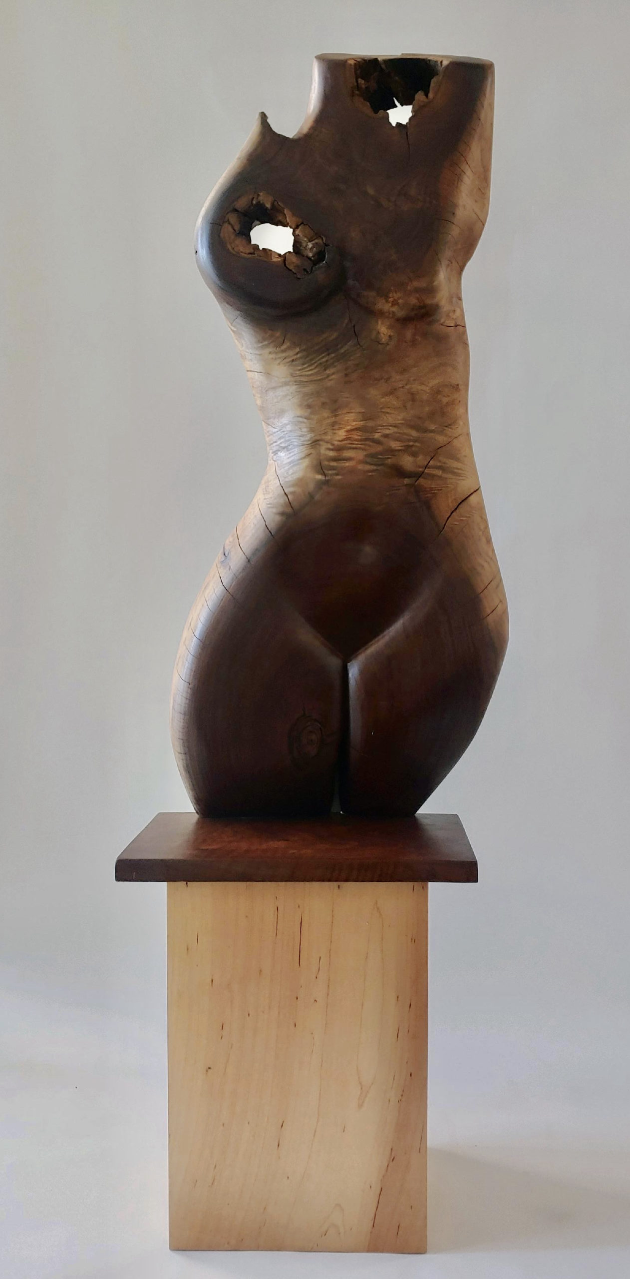 DAVID AMDUR - A LIGHT IN THE WOOD: MEMORIAL EXHIBIT 1949-2021 - Austin ...